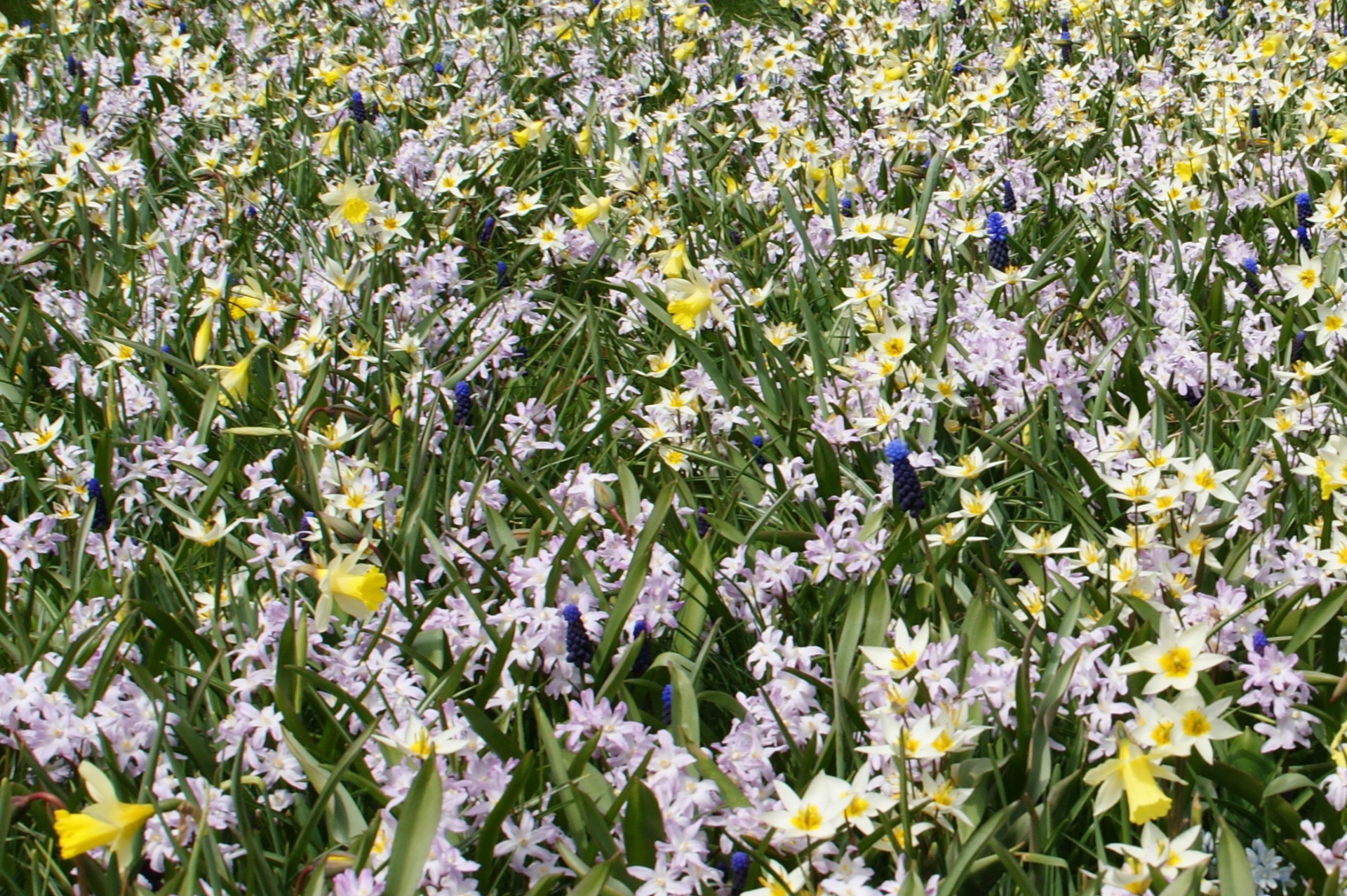 Mixtures | Lubbe Lisse
