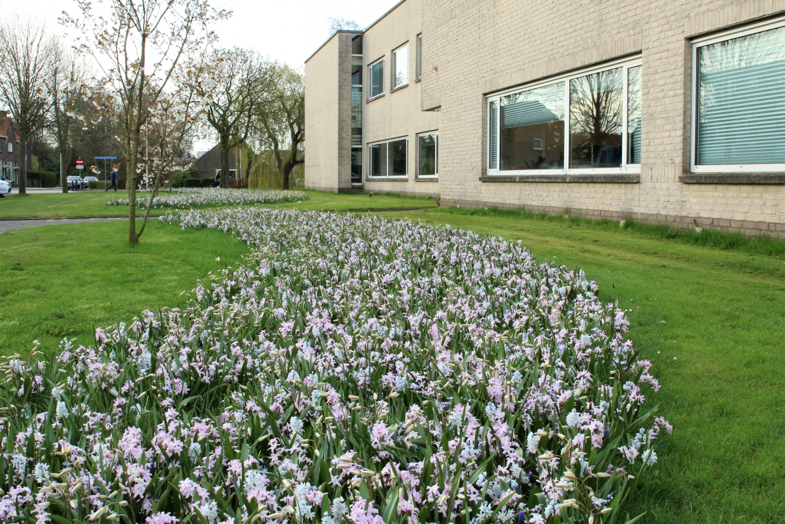 Gemeenten | Lubbe Lisse