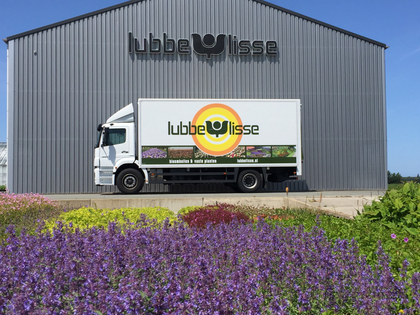 Nieuws | Lubbe Lisse